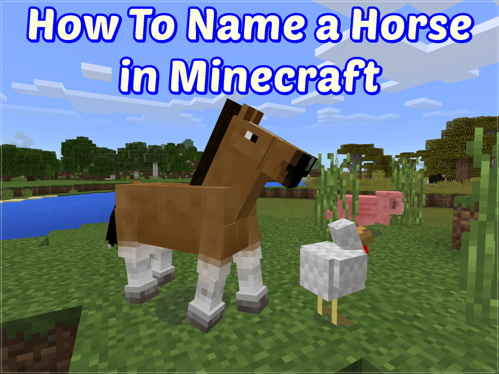 How To Name A Horse In Minecraft January 2021 With Pictures