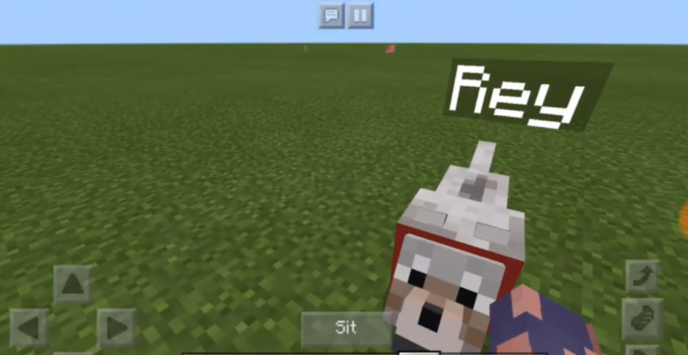 How to Name a Dog in Minecraft? 2025 with Pictures