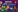 1400+ Roblox Image IDs & Decal ID Codes (June 2026) WORKING