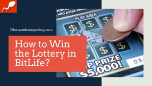 How to Win the Lottery in BitLife? (2025) + Requirements