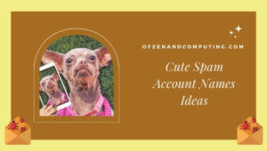 2100+ Spam Account Names 2023 (Username Ideas): Instagram, Funny