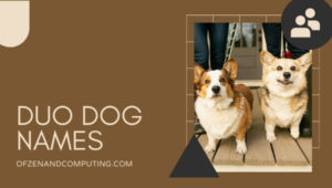 4100+ Funny & Cool Duo Names Ideas (2023): Pets, Friends