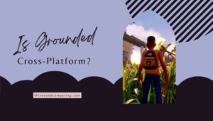 Is Grounded Finally Cross-Platform in 2025? [Updated]