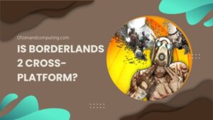 Is Borderlands 2 Finally Cross-Platform in 2026? [The Truth]