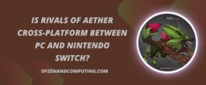 Is Rivals Of Aether Finally Cross-Platform in 2025? [The Truth]