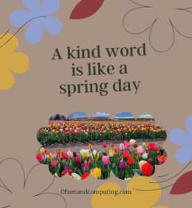 4800+ Cute Spring Captions For Instagram (2026) Break, Funny
