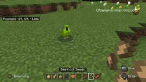 How To Tame A Parrot In Minecraft? [2026 Detailed Guide]