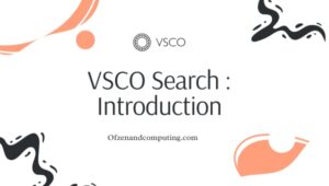 VSCO Search Tips: Discovering Your Ideal Photo Filters