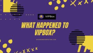 VIPBox Proxy Mirror Sites: Unblock Your Favorite Streams