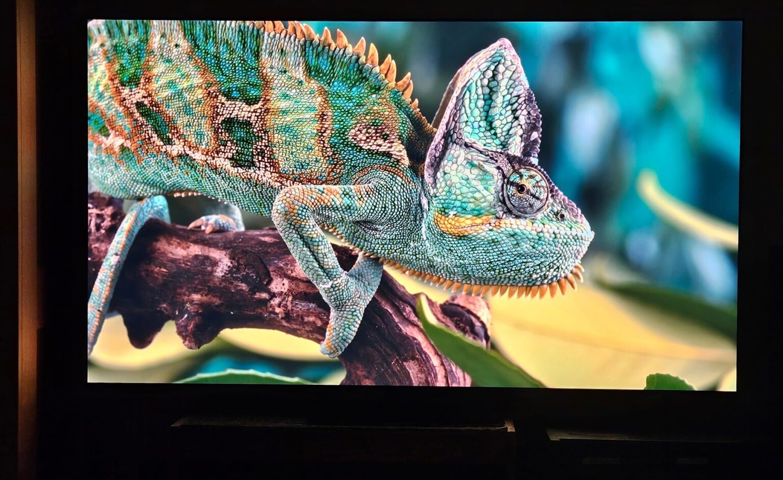12 Best 85 Inch OLED TV 2026: Tested & Reviewed