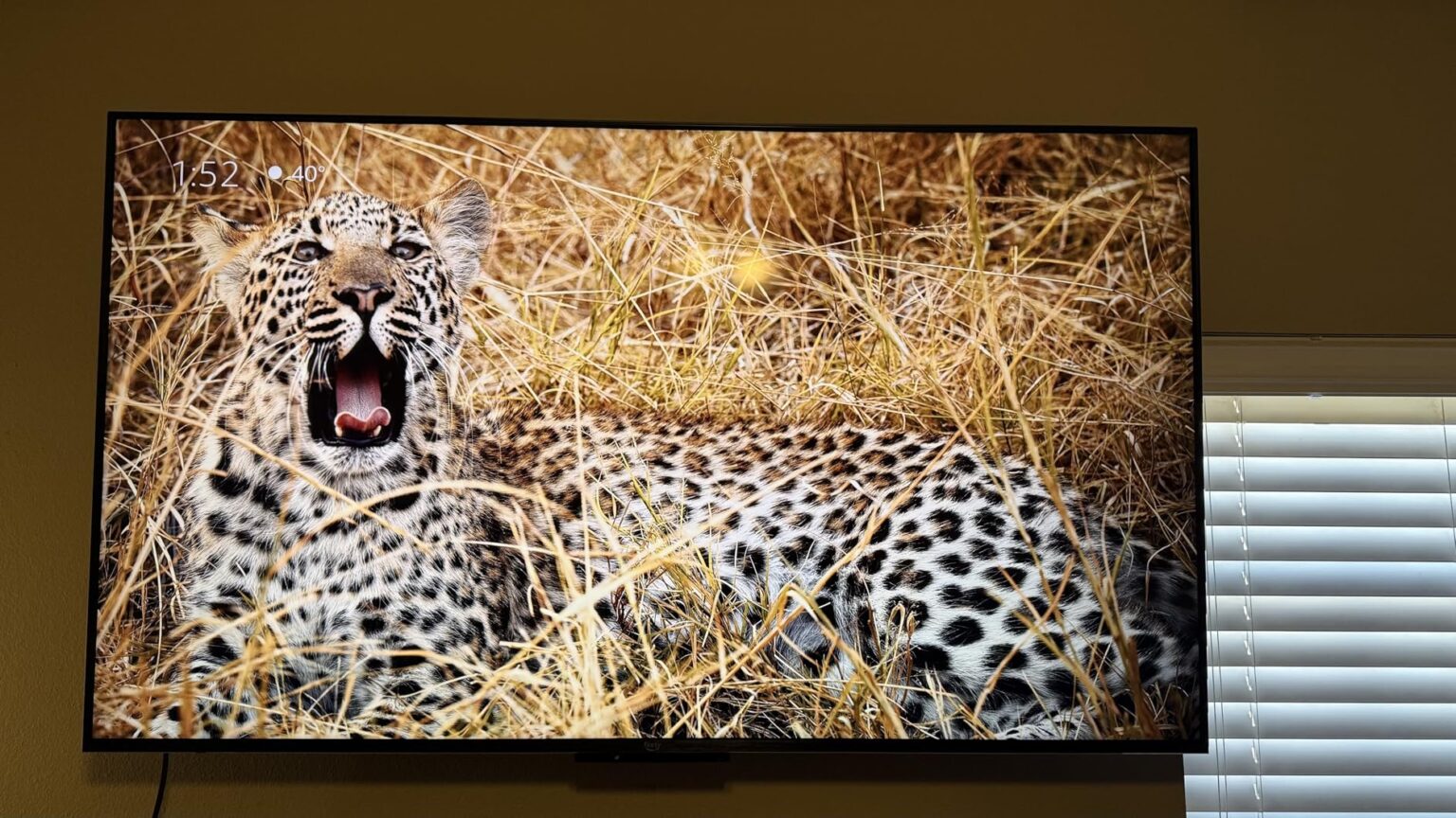 12 Best 85-Inch TVs 2026: Models Tested & Reviewed