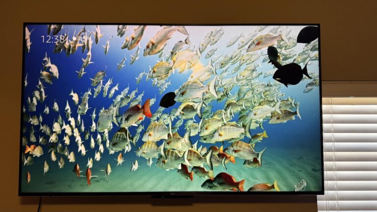 12 Best 55 Inch Gaming TV 2026: Tested & Reviewed