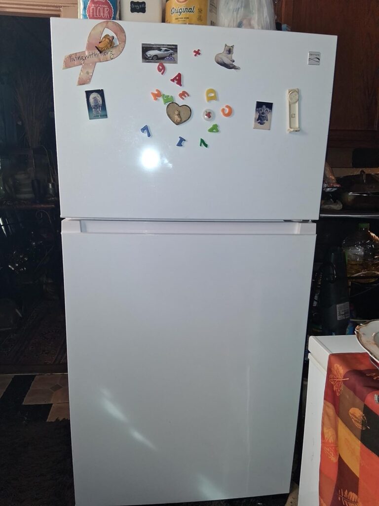 12 Best Refrigerator Brands Consumer Reports 2026: Tested & Ranked