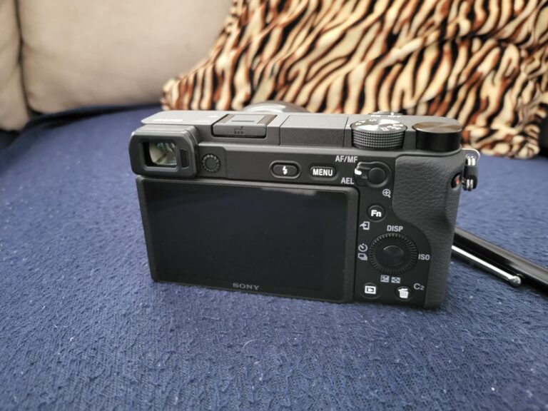 12 Best Cameras for Portrait Photography (March 2026) Tested