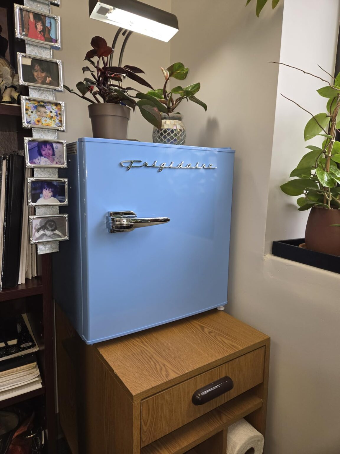 8 Best Mini Refrigerator Brands (June 2026) Tested & Rated