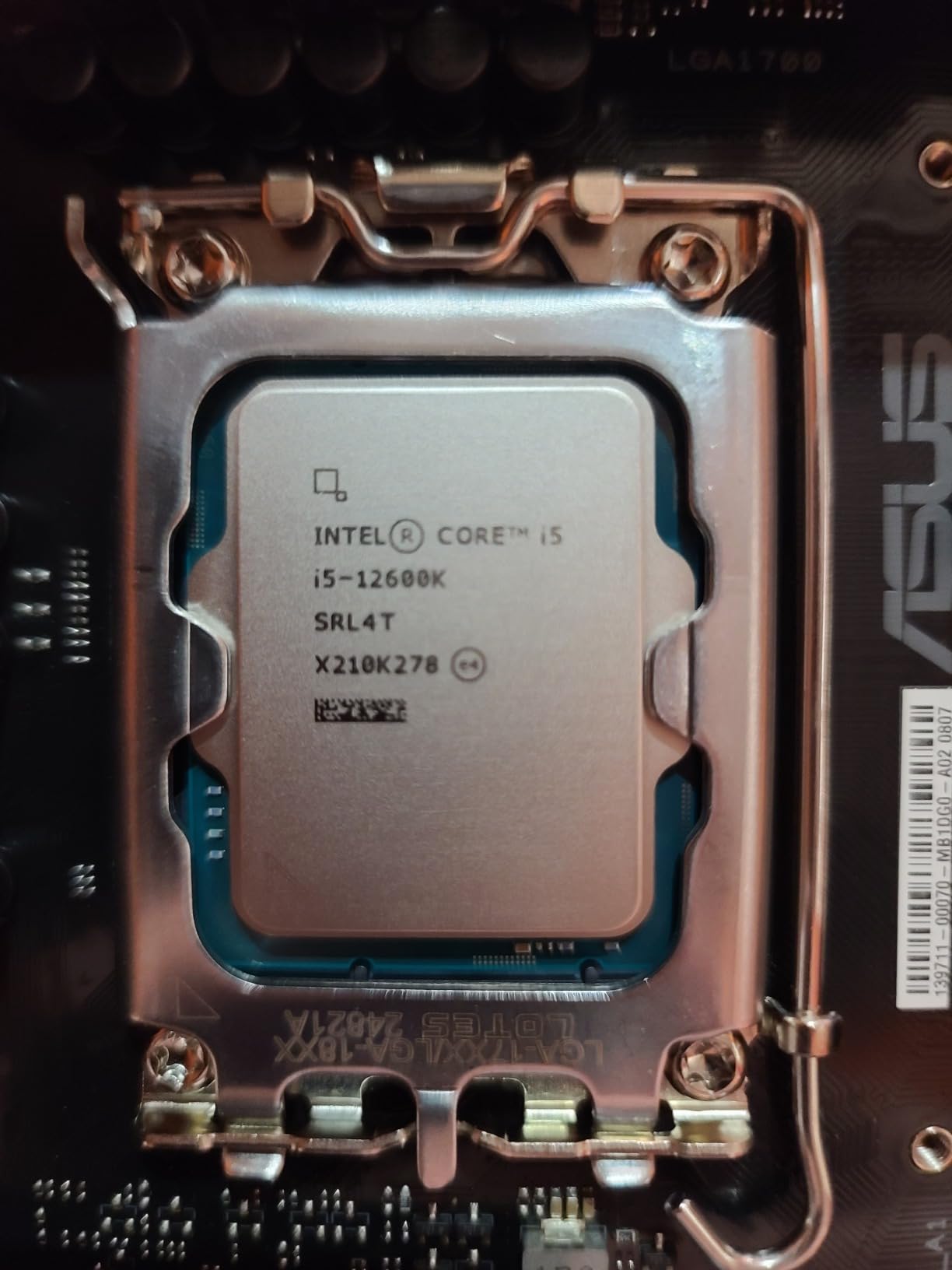 8 Best Integrated Graphics CPU (October 2025) Complete Guide