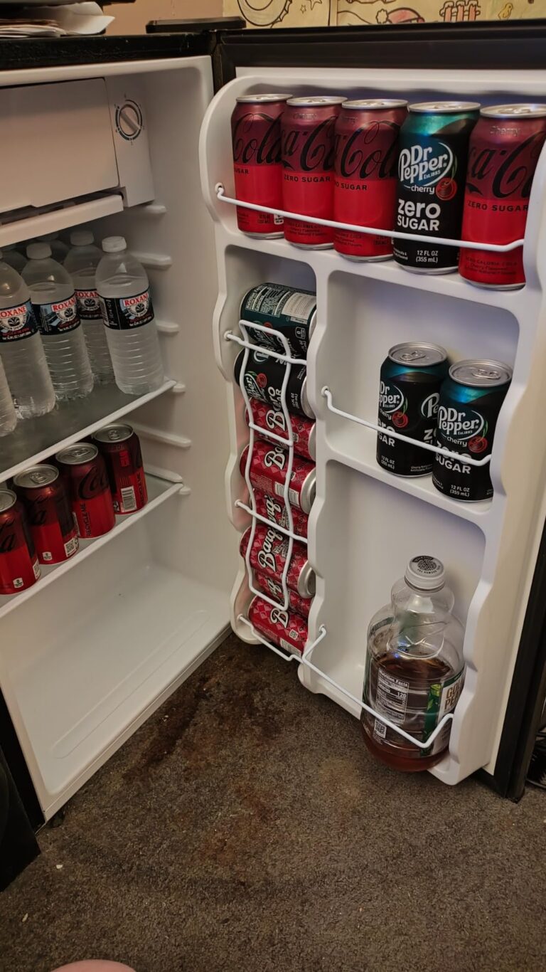 12 Best Refrigerator For Garage (June 2026) Tested