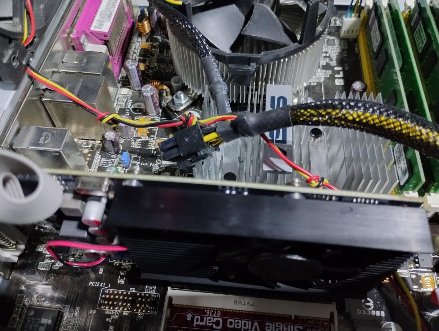 12 Best Low Profile Graphics Cards (June 2026) Complete Guide