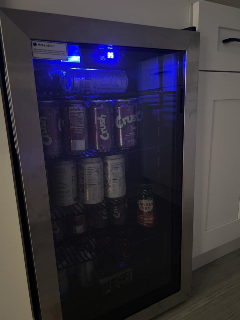 8 Best Mini Refrigerator Without Freezer (March 2026 Guide)
