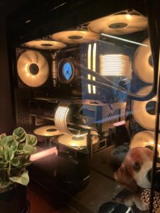 10 Best Graphics Cards for Ray Tracing (March 2026 Guide)