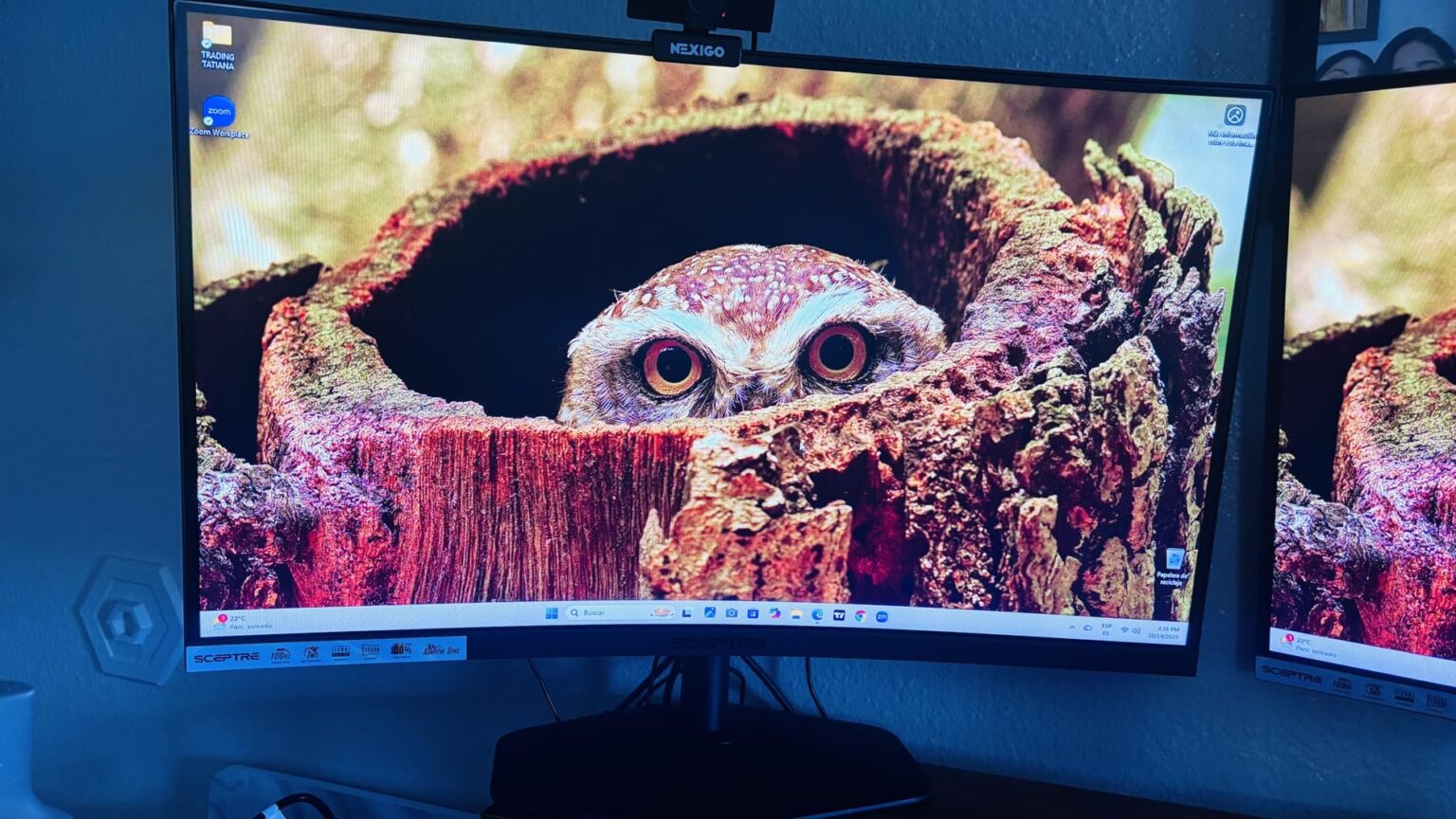 8 Best Dual Monitor Setup (March 2026) Complete Guide