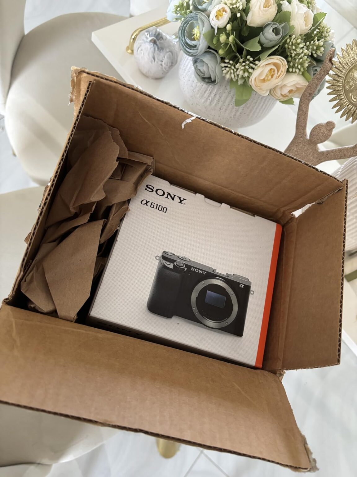 12 Best Cameras for Low Light Photography (March 2026 Guide)