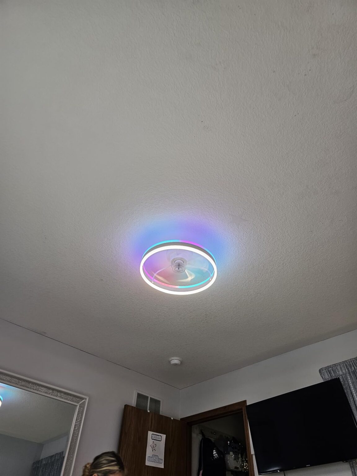 12 Best Smart Ceiling Fans (March 2026) Complete Guide