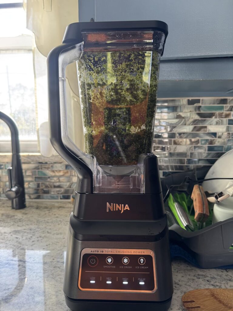 6 Best Black Friday Ninja Blender Deals (March 2026) Models Tested