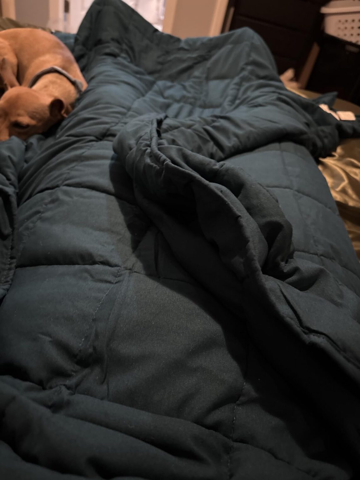 15 Best Black Friday Weighted Blanket Deals (February 2026) Models Tested