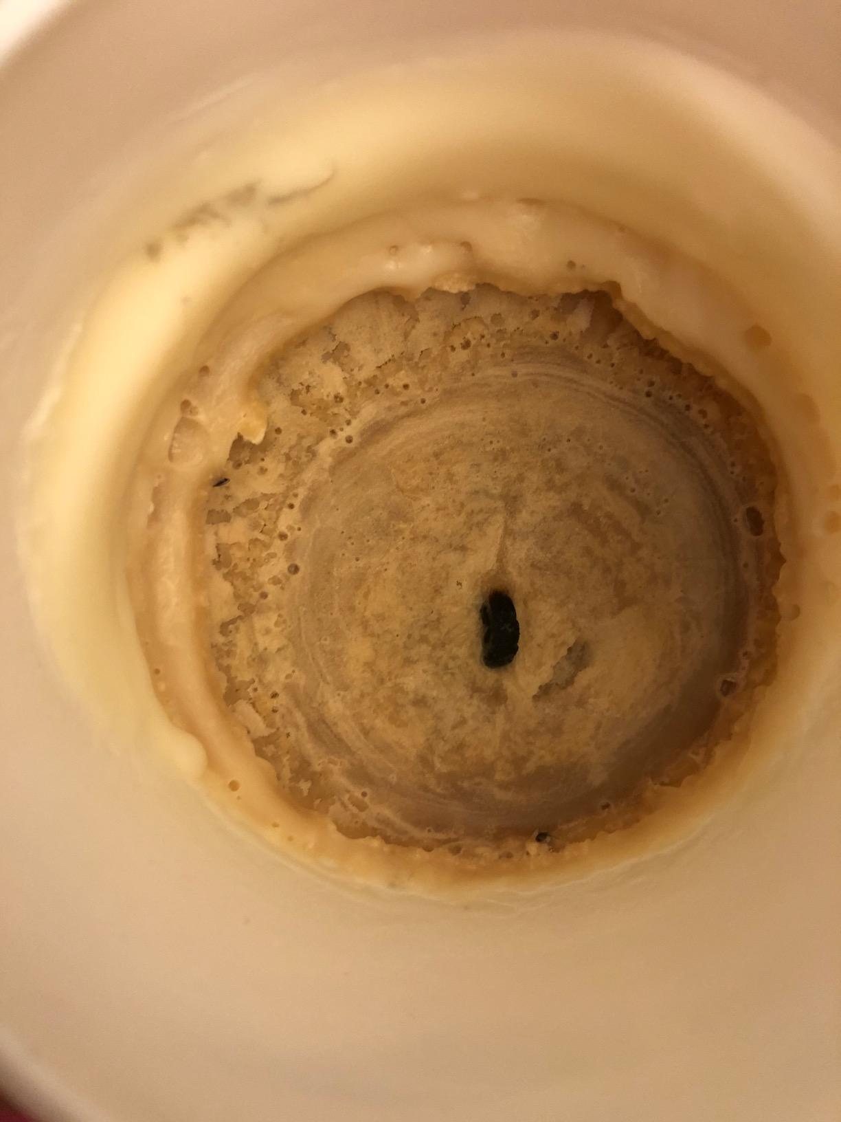 10 Best Candle Gifts (January 2025) Tested & Reviewed