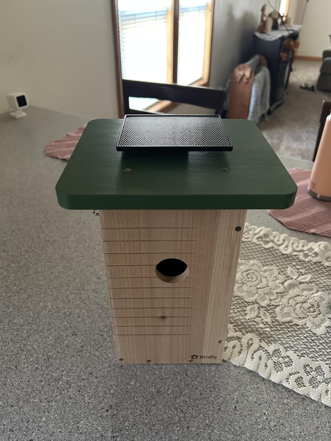 15 Best Gifts for Nature Lovers (January 2025) Tested