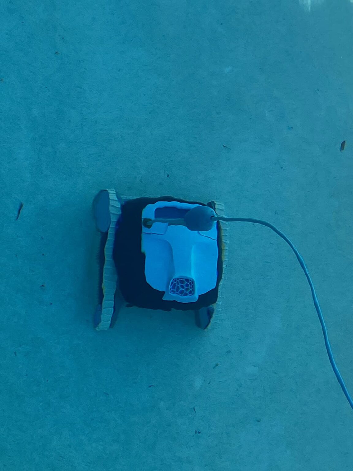 10 Best Robotic Pool Cleaners for Inground Pools (March 2026) Tested