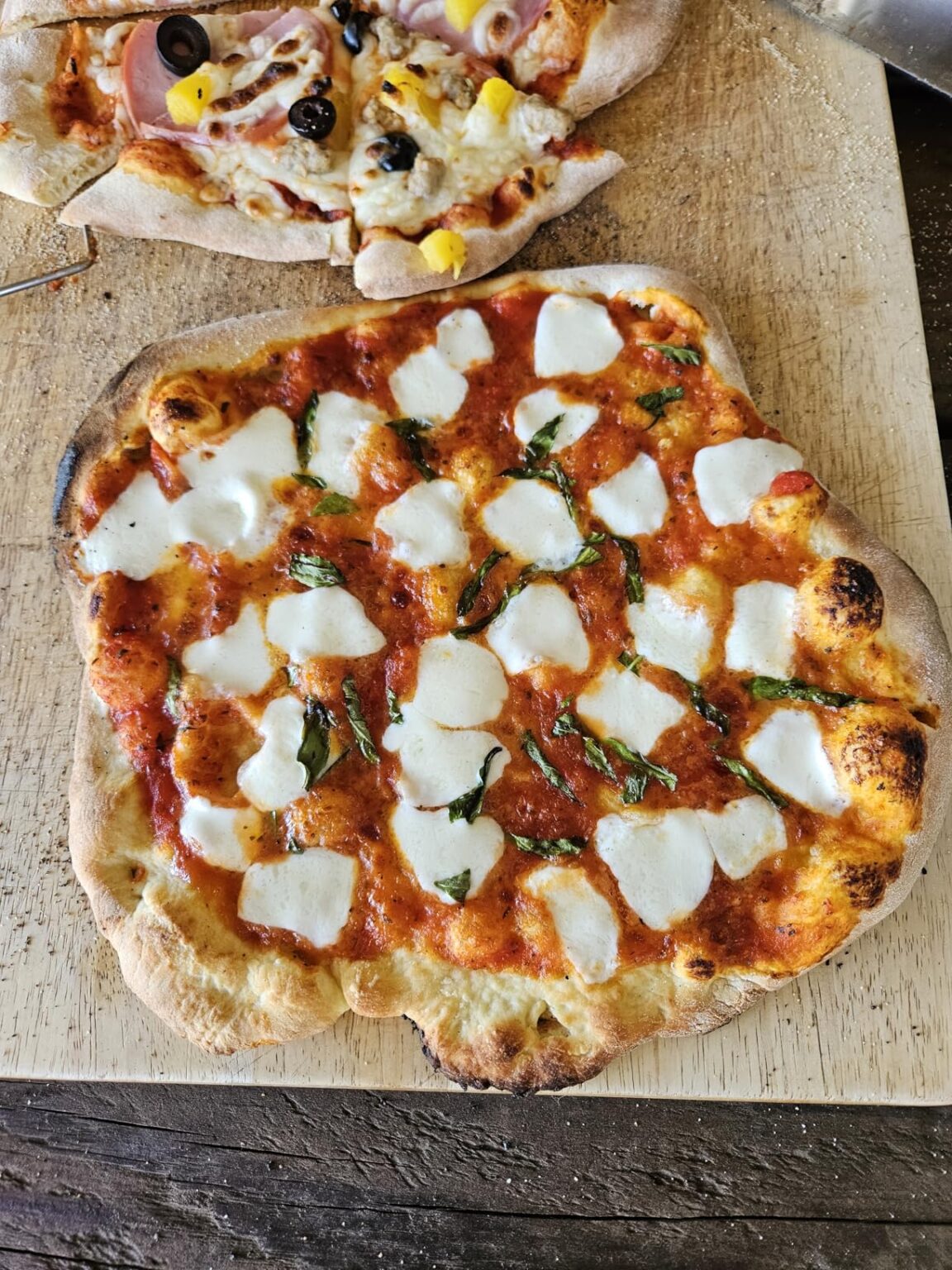 10 Best Portable Pizza Ovens for Backyards (January 2026) Tested