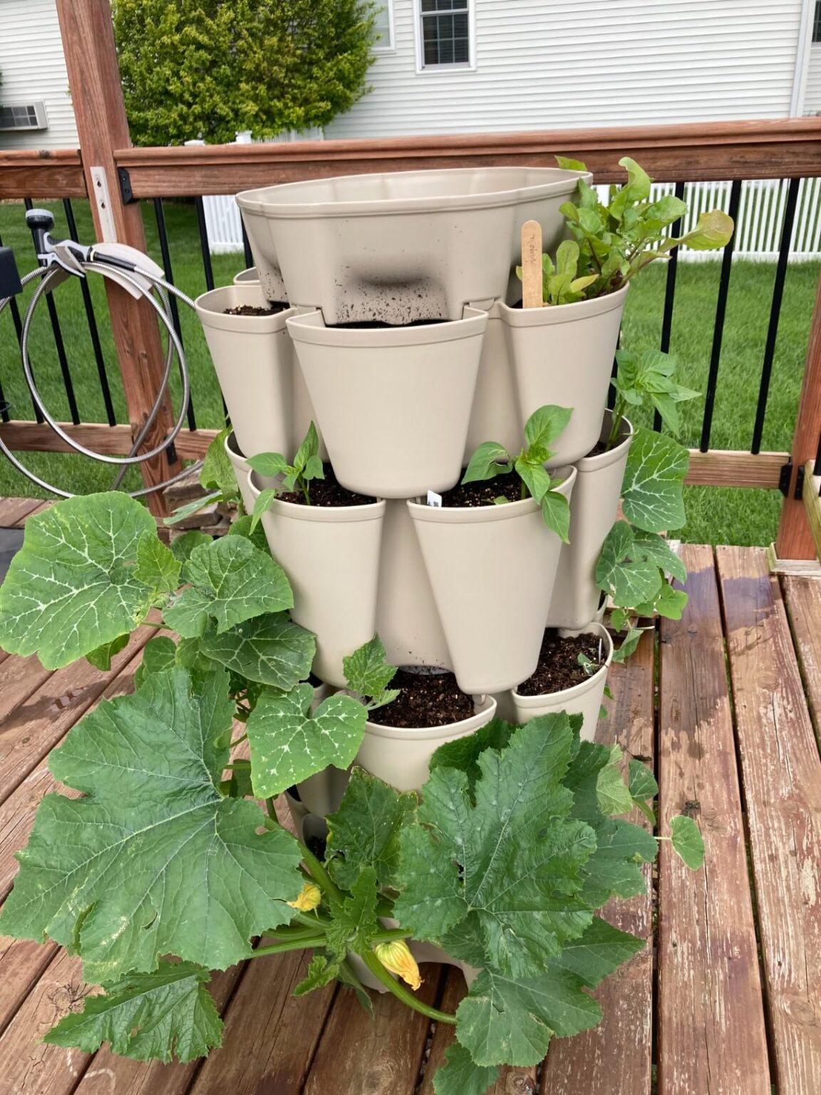 8 Best Vertical Garden Planters for Small Spaces (January 2026) Tested