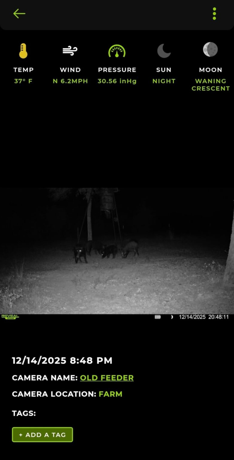 12 Best Game Cameras (June 2026) - Expert Reviews & Guide