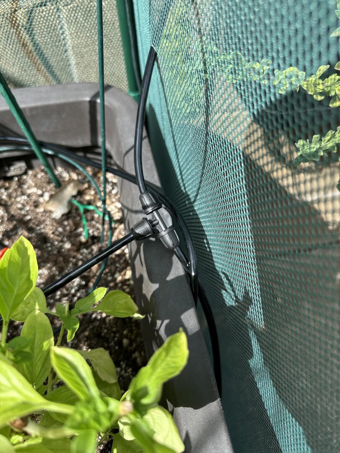 10 Best Smart Plant Watering Systems (January 2026) Expert Reviews & Guide