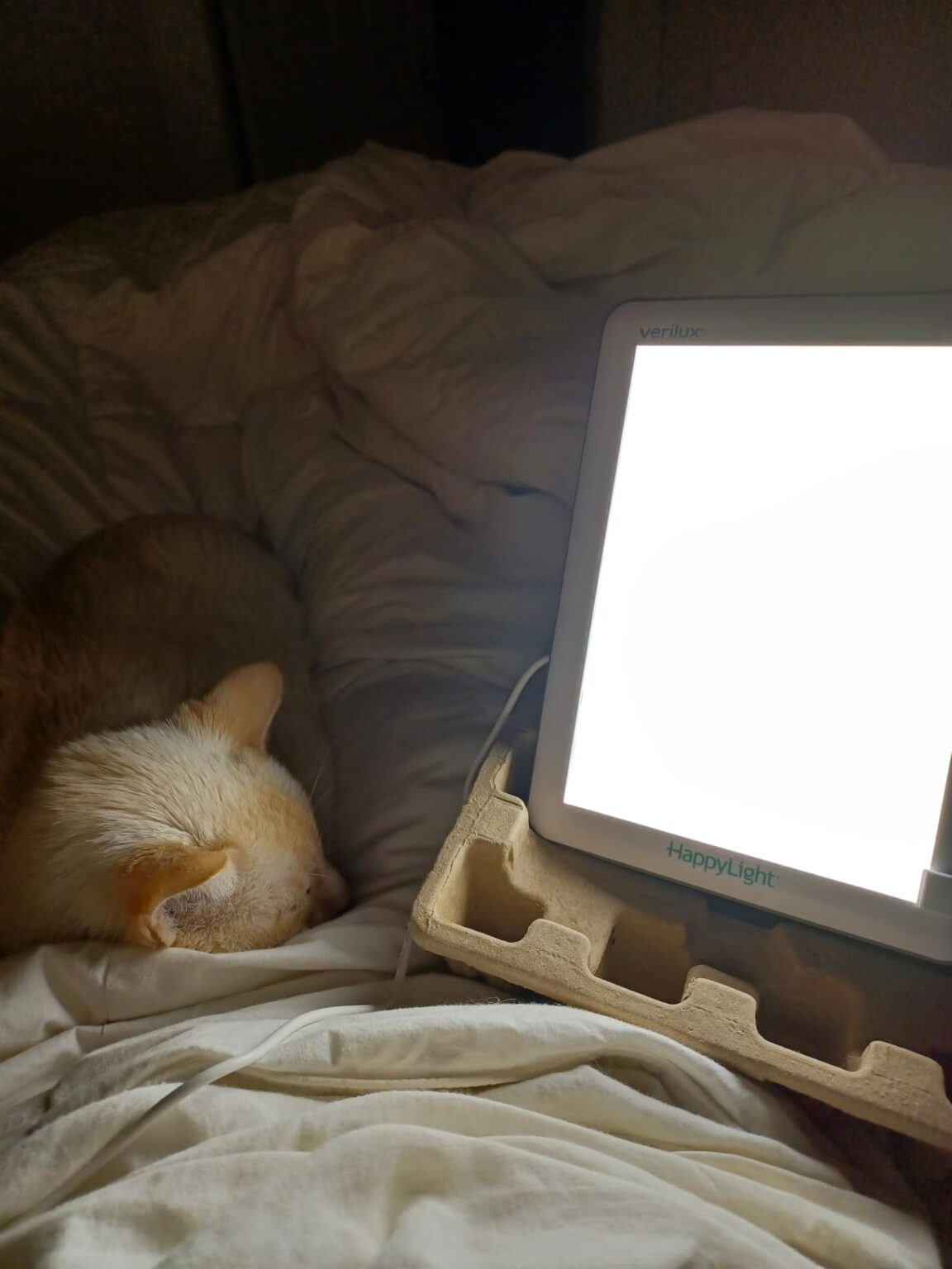 10 Best Light Therapy Lamps for Depression (June 2026) Tested and Ranked