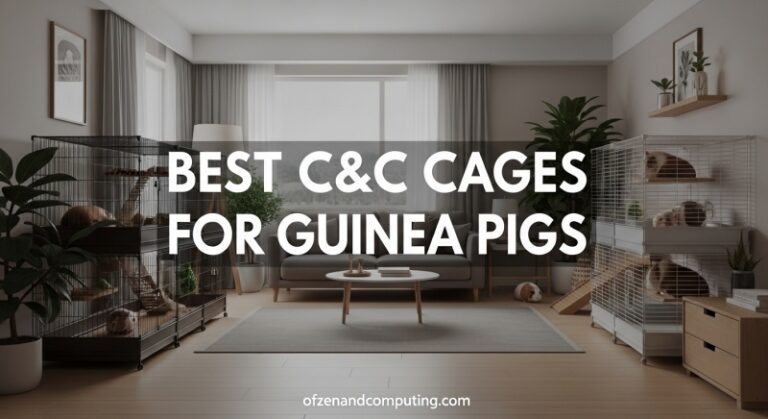 8 Best C&C Cages for Guinea Pigs (March 2026) Expert Reviews