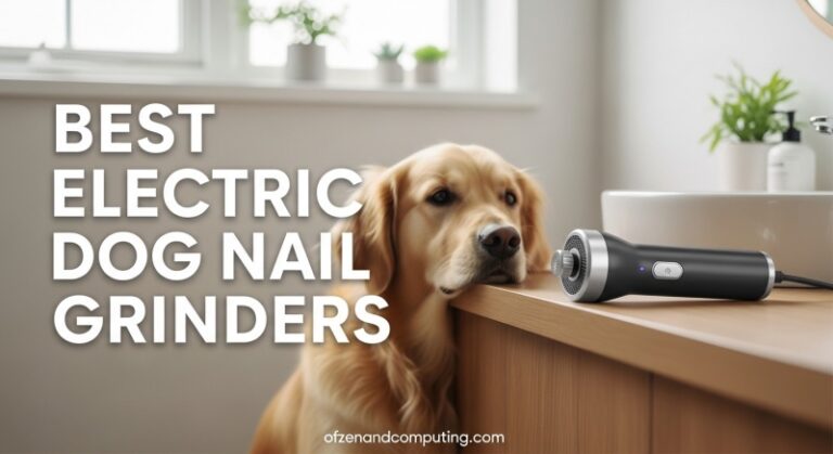 12 Best Non Electric Washing Machine 2026: Tested & Reviewed