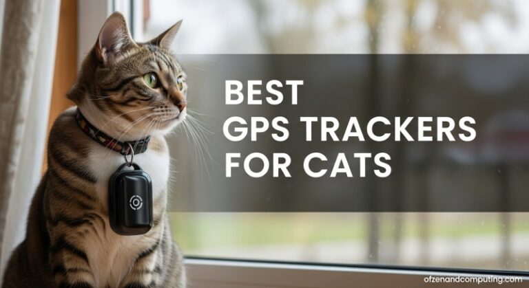 8 Best GPS Trackers for Cats (March 2026) Real-Time Location Guide