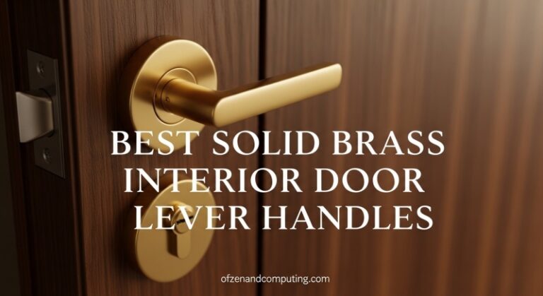 10 Best Solid Brass Interior Door Lever Handles (March 2026) Buyer's Guide
