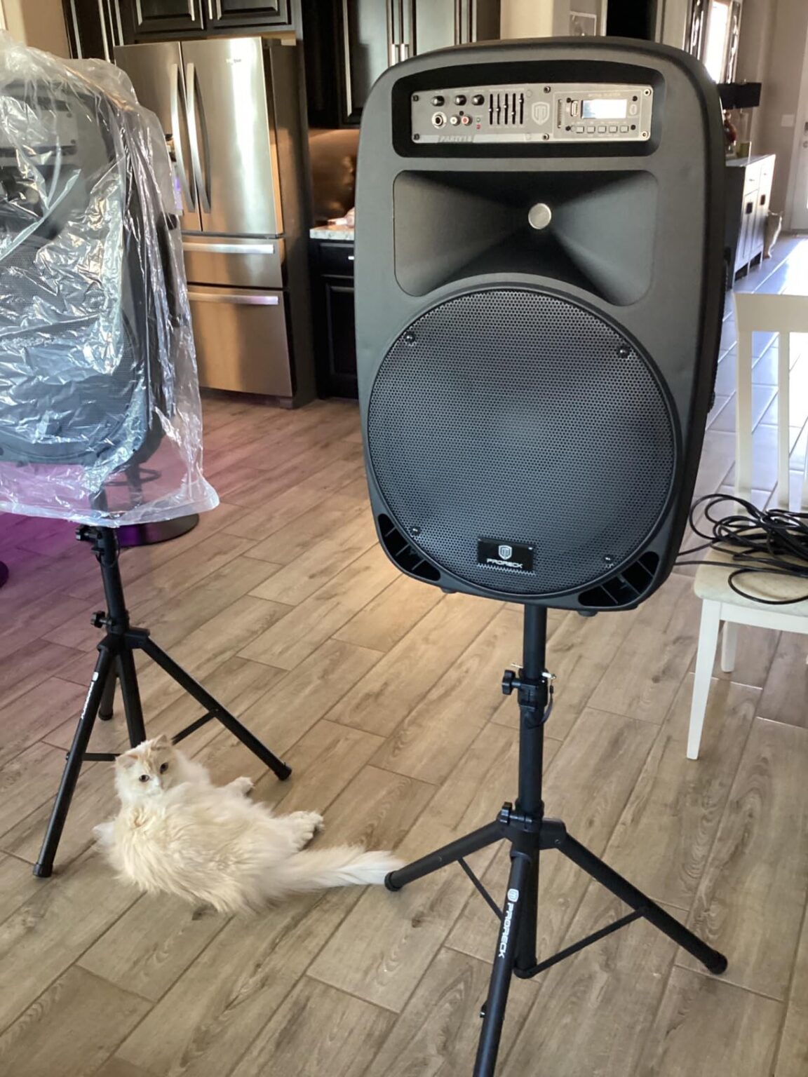 10 Best Professional Karaoke Systems (June 2026)