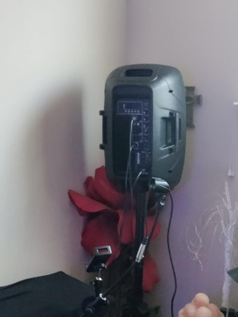 10 Best Professional Karaoke Systems (June 2026)