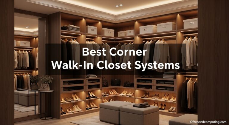 10 Best Walk-In Closet Systems with Drawers and Built-In Mirror (April ...